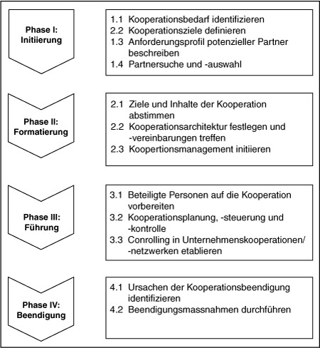 Kooperationscontrolling: Planung, Steuerung und Kontrolle