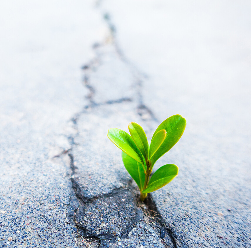 Resilienz stärken: Was zeichnet resiliente Menschen aus?