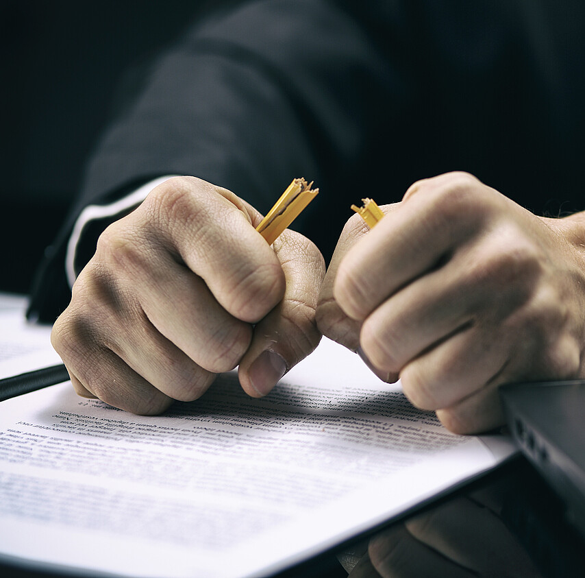 Organisation einer GmbH: Die Organe einer GmbH